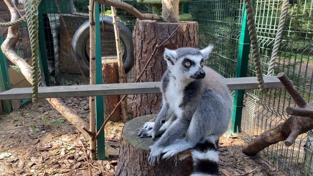 18341434-uhd_3840_2160_60fps