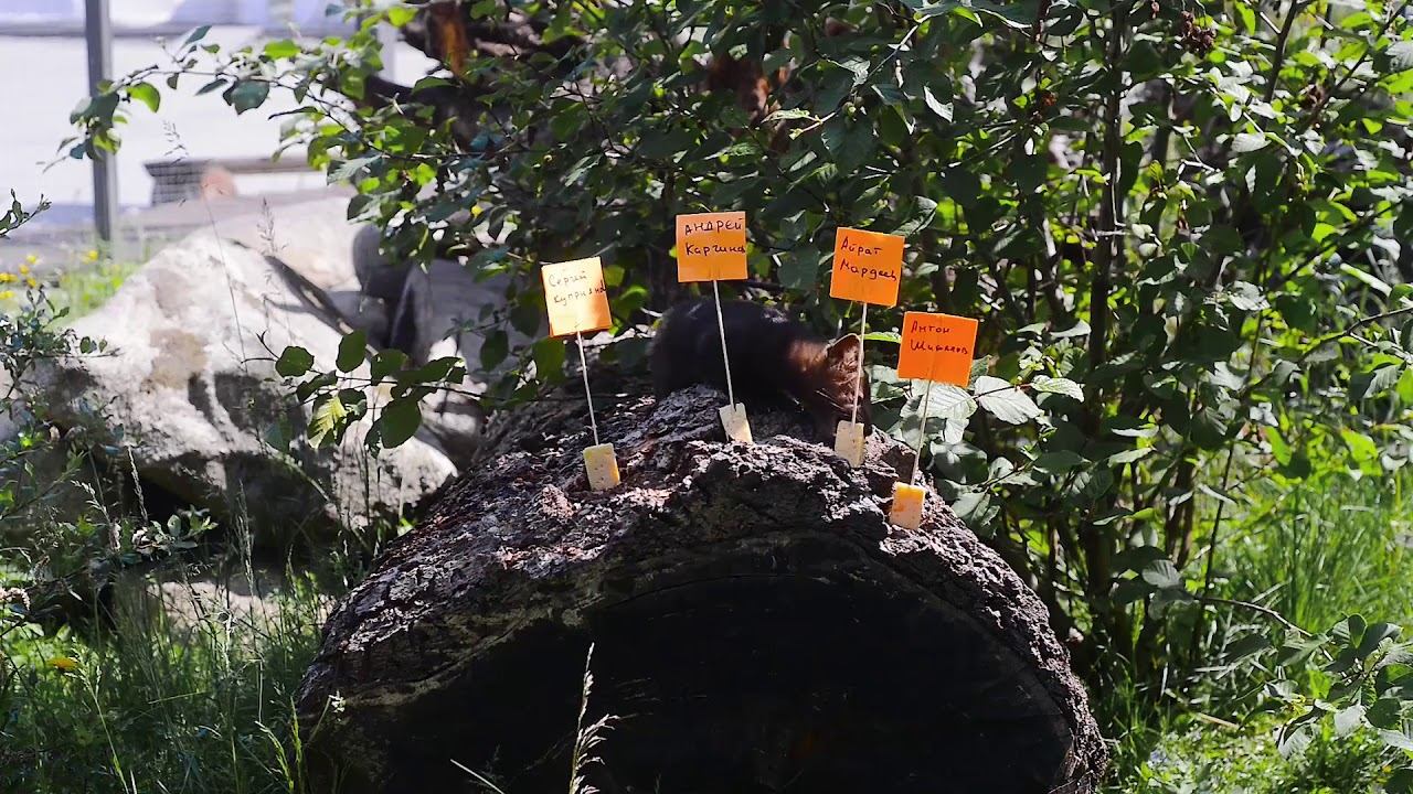 Гром и Тучка – предсказатели ралли «Шёлковый путь»