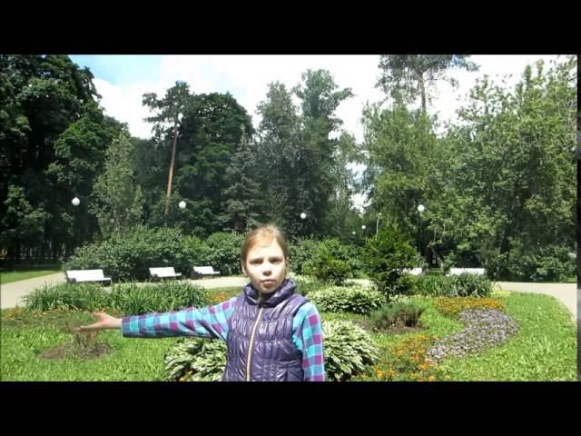 Чапаевский переулок