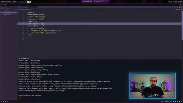 Rebuilding my NixOS config - Part 11: An Introduction to NixOS Package Creation