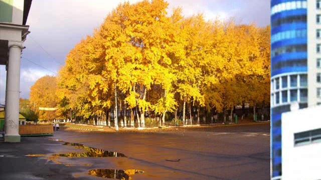 Ни о чём не жалею