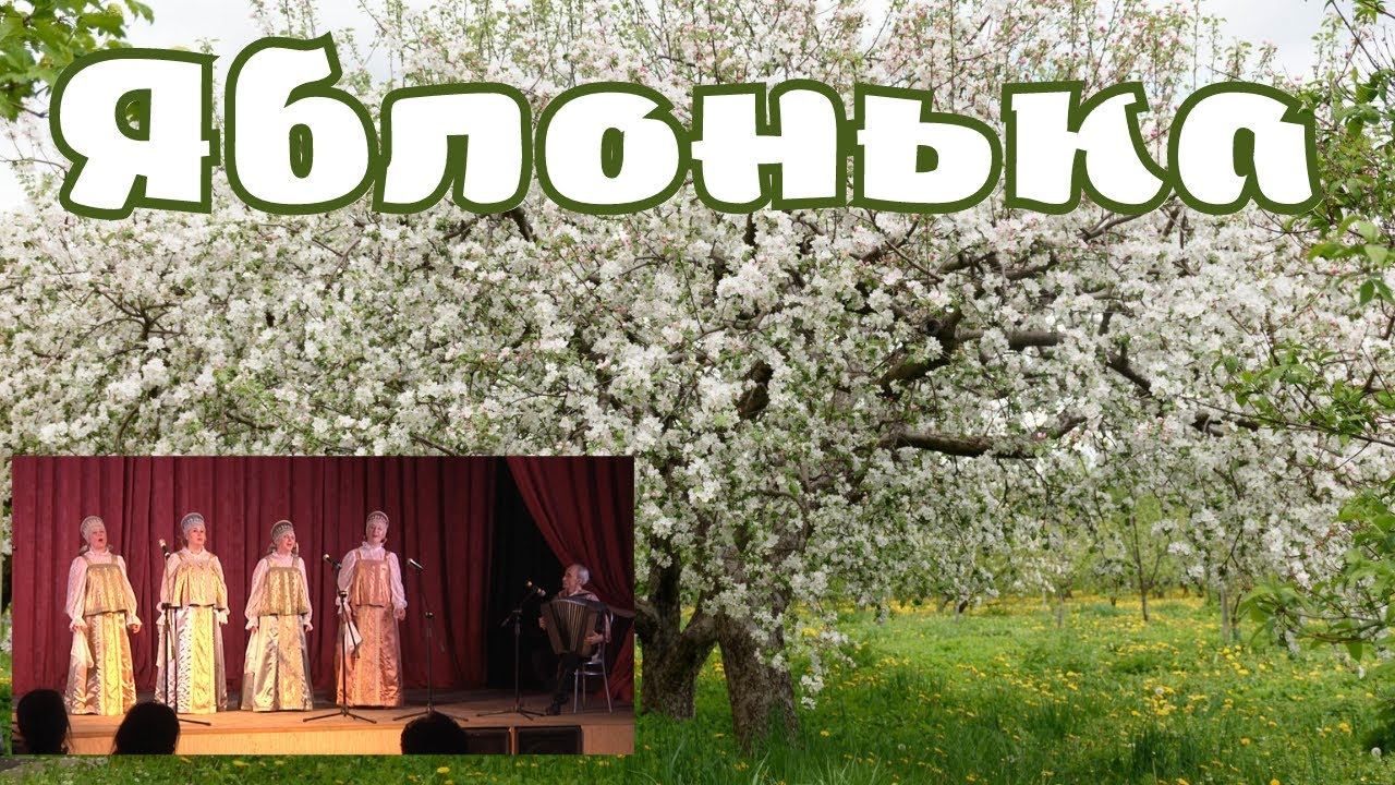 Яблонька. Исполняет квартет "Горлинка".
