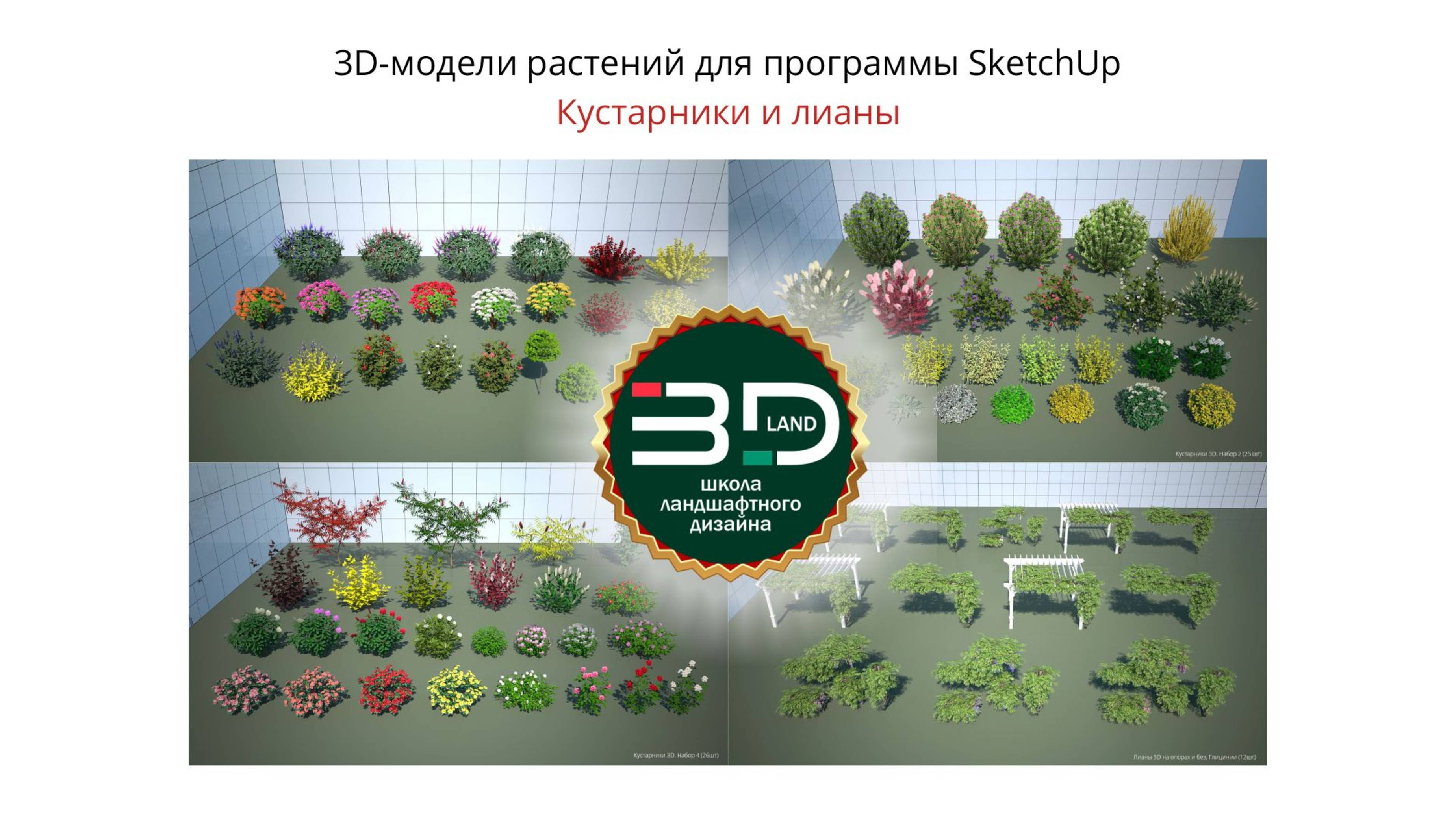 3D-модели растений для SketchUp. Кустарники и лианы