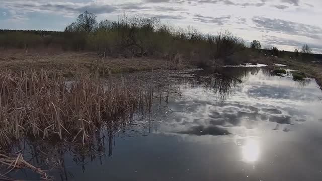 На сапборде по Брусянке. д.Гилева