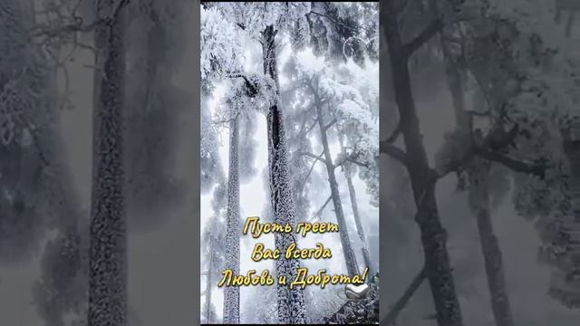 Пусть греет вас любовь и доброта. Музыкальная открытка.