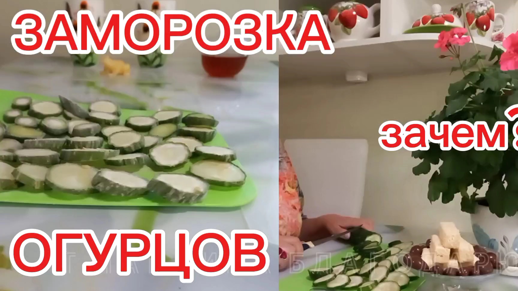 Заморозка ОГУРЦОВ.🥒Соус из огурцов... Богатый урожай.Чем подкармливаю- удивитесь?