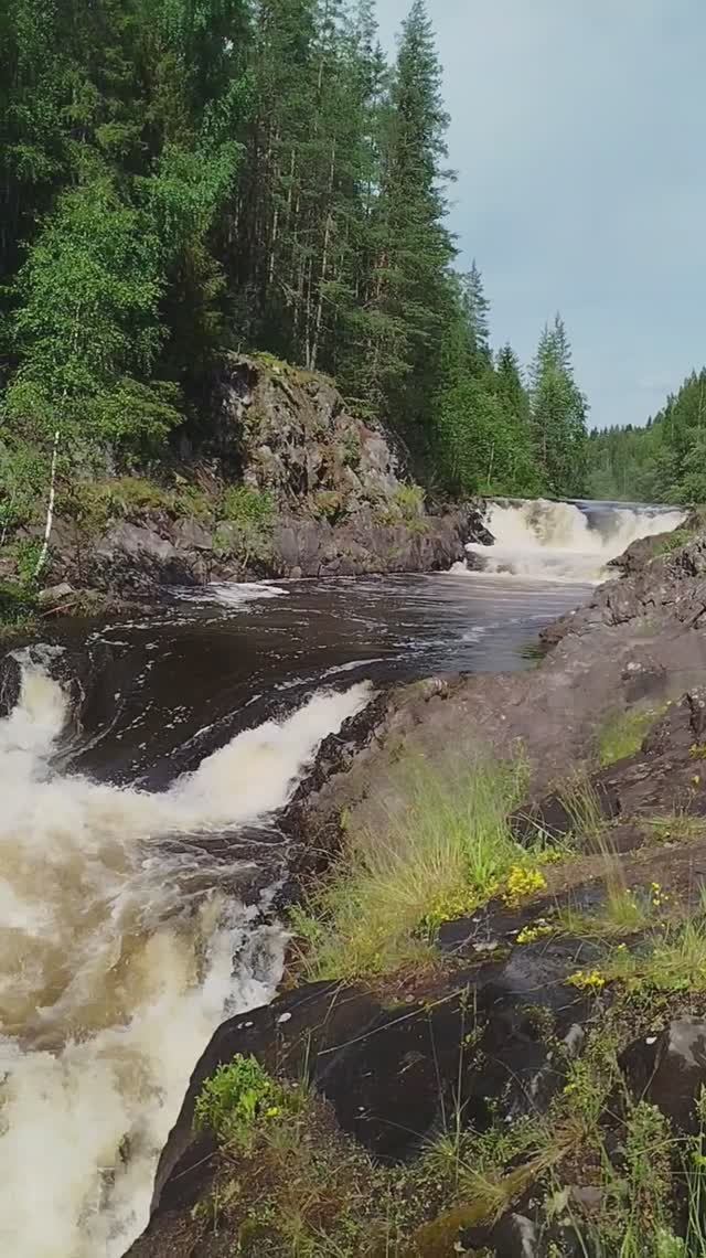 Бурлящая кока-кола. Водопад Кивач.Карелия, июль 2024