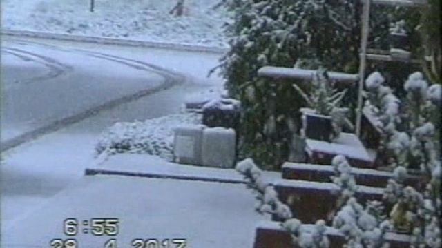 2017 Апрель Мама я