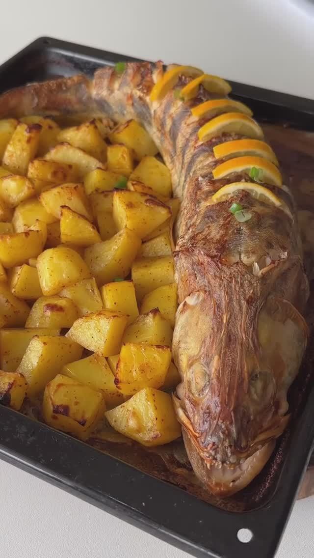 ЗАПЕЧЁННЫЙ СУДАК