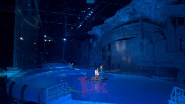 В "МОСКВАРИУМЕ» пришла зимняя сказка - премьера водного шоу «КОЩЕЙ»