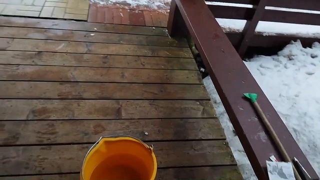 Розы после зимы