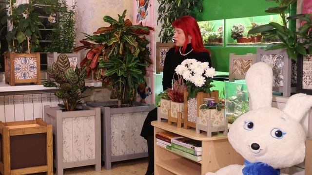 Контейнерное садоводство  Ландшпо Ч 3