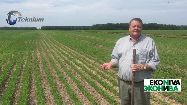 Технология NO-till. прямой посев. Качество посева сои дисковой сеялкой с турбодиском.