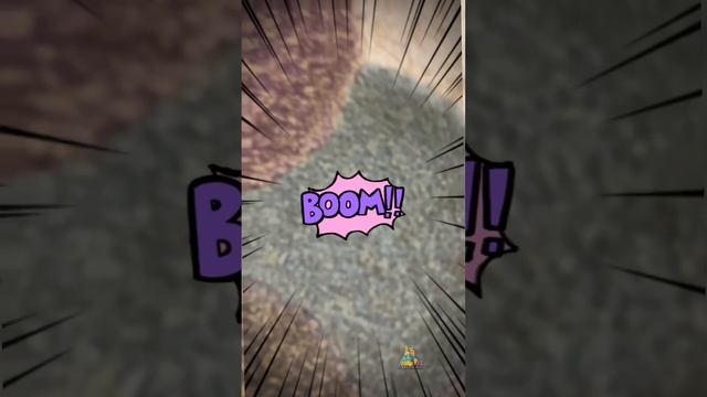 Вам понравилась моя ёлочка?🎄😸 #кот #елка #котики #тренд #животные