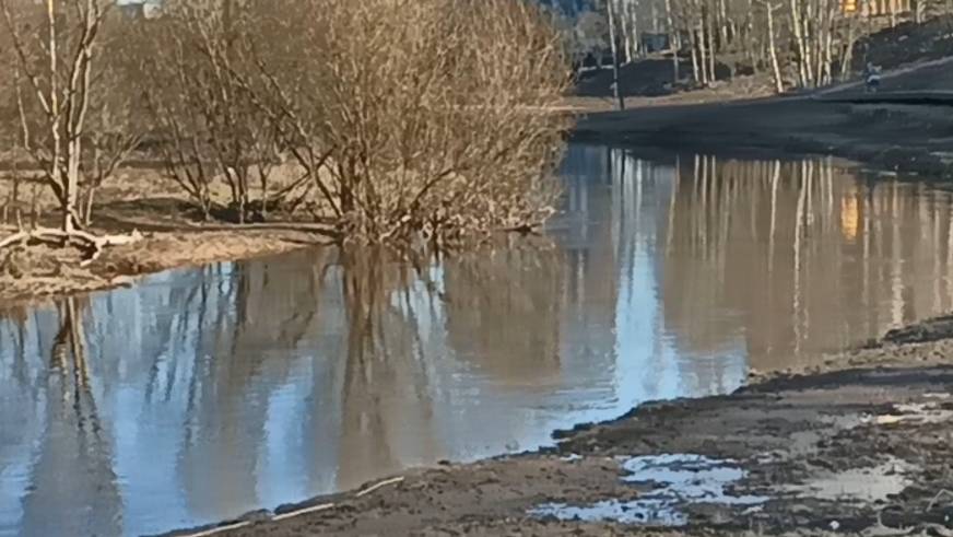 Весеннее полноводие на Охте