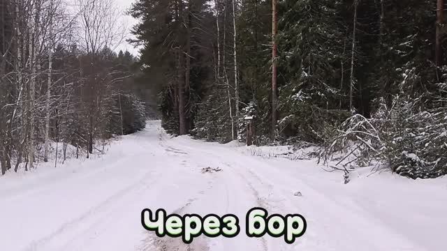 Через бор.mp4