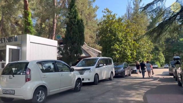 ШОК В СОЧИ И АДЛЕРЕ ЯБЛОКУ НЕГДЕ УПАСТЬ! ЕДЕМ В АБХАЗИЮ ! САМЫЕ ЛУЧШИЕ ПЛЯЖИ В ПИЦУНДЕ!