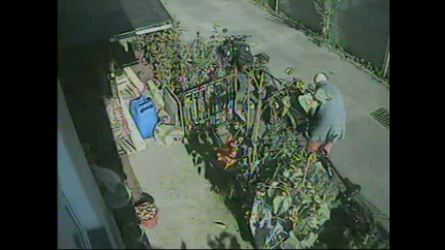 2017 Октябрь Мама я