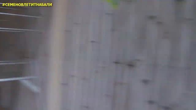 2 недели в Раю. Бали. Часть 6. Путешествие непакетного туриста. Из Убуда в Амлапуру