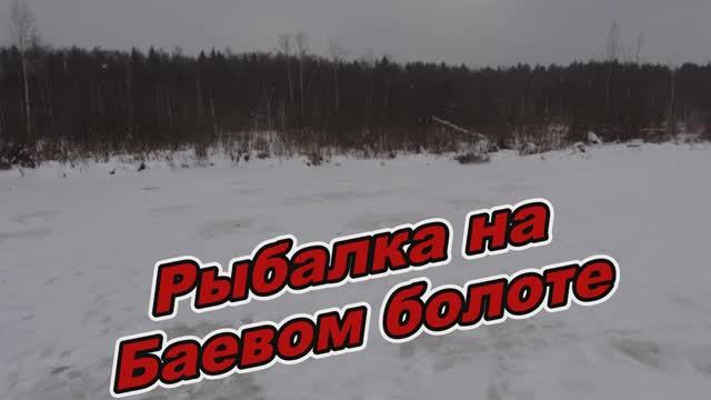 Рыбалка на Баевом болоте. 13.12.2024
