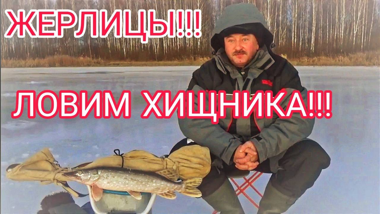 ОТКРЫТИЕ ЗИМНЕЙ РЫБАЛКИ НА ЖЕРЛИЦЫ!!! ЛОВИМ ЗУБАСТОГО ХИЩНИКА!! ЩУКА ЗИМОЙ!