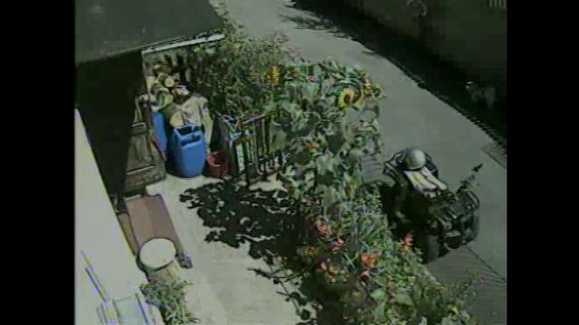 2017 Июль Мама я