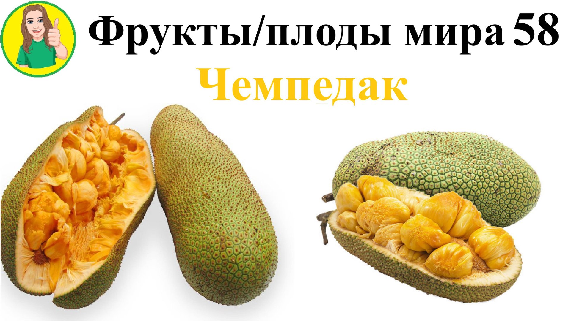 Фрукты - плоды мира 58 – Чемпедак Сыроедение Фрукторианство