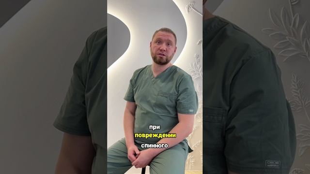 Как помочь собаке при травме?