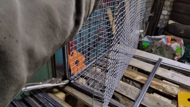 МНОГОЯРУСНАЯ КЛЕТКА ДЛЯ ПЕРЕПЕЛОВ СВОИМИ РУКАМИ  ЧАСТЬ 1