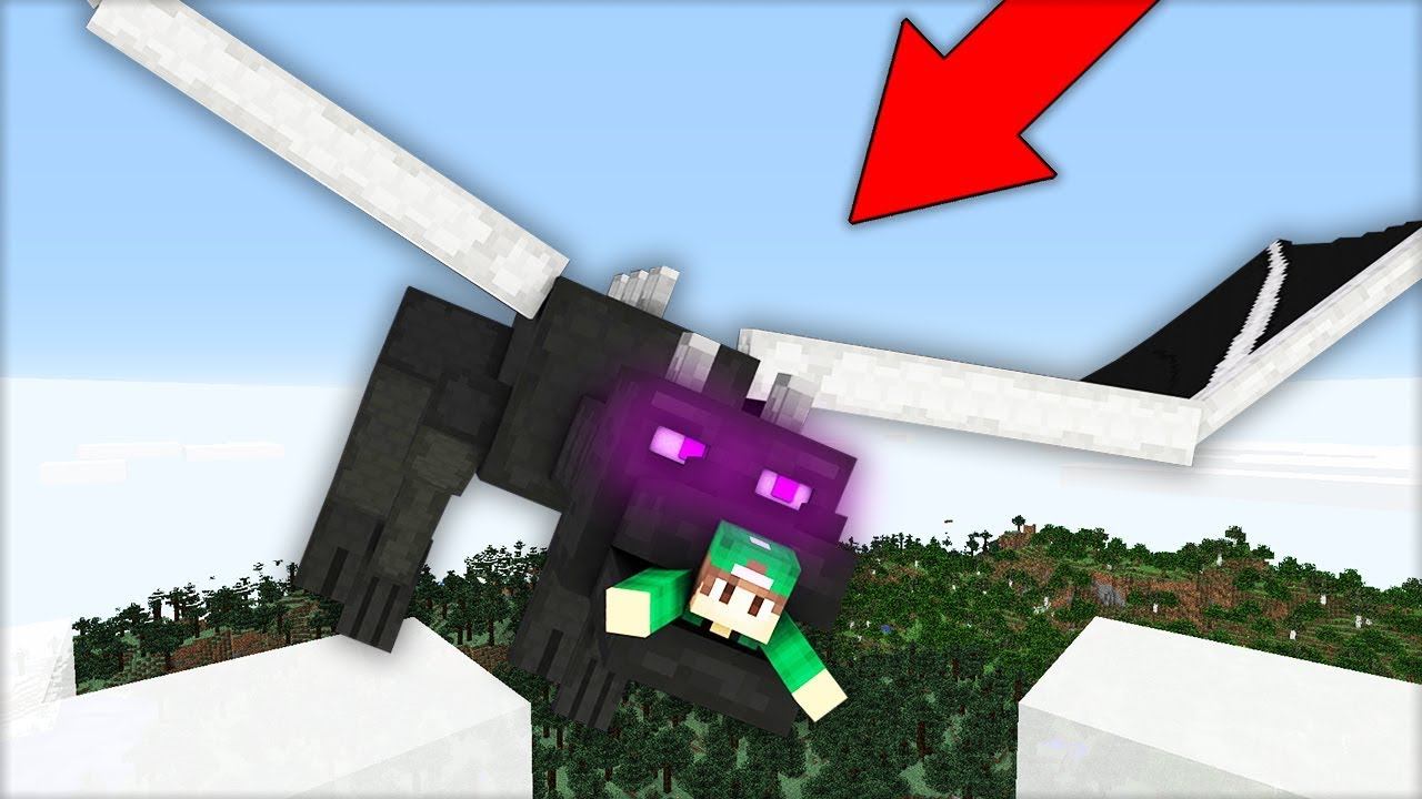 ЭТОТ ЭНДЕР ДРАКОН ХОЧЕТ МЕНЯ УБИТЬ В МАЙНКРАФТ | Риколит Minecraft