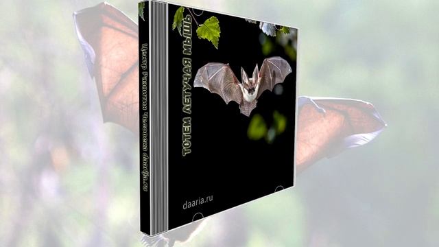 ТОТЕМ ЛЕТУЧАЯ МЫШЬ - символ интуиции, видения скрытого, лёгкости и защиты