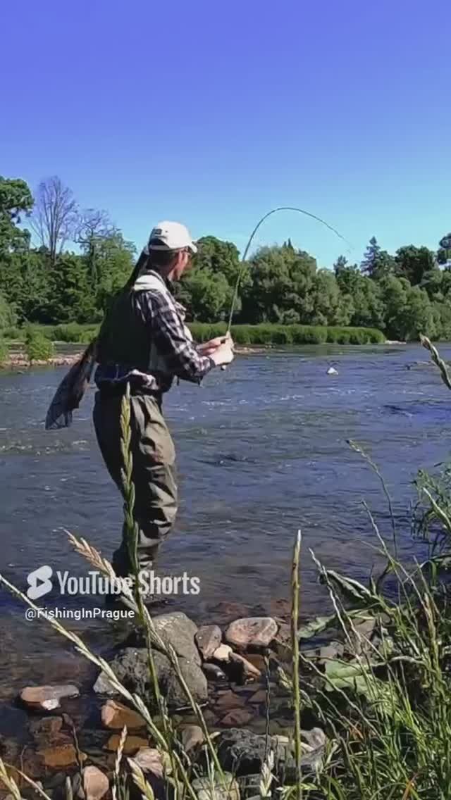 Вот ПОЧЕМУ я люблю тенкару! Такой АДРЕНАЛИН тебе поплавок точно не даст! #тенкара #нахлыст