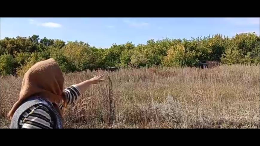 Родная Новородниковка, воспоминания тех кто видел