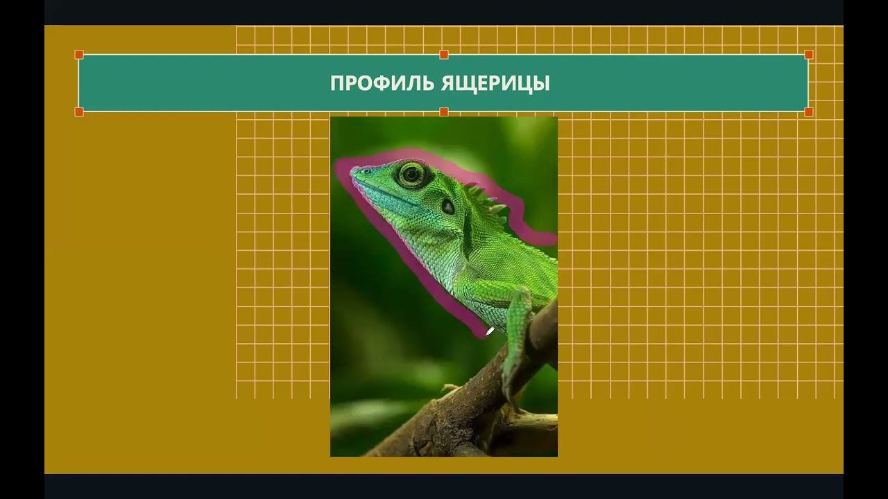 Профиль рельефа местности : что это и для чего