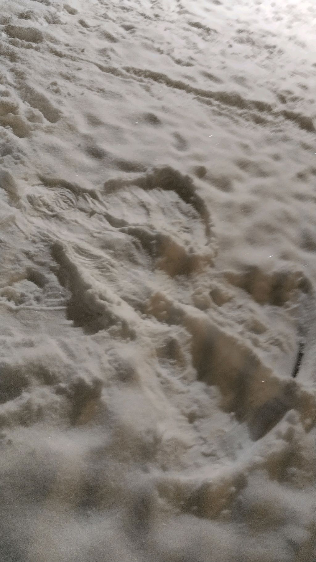 моя трансляция