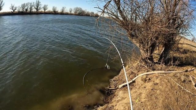 Зимняя рыбалка - клёв офигенный!
Winter fishing - the bite is awesome!