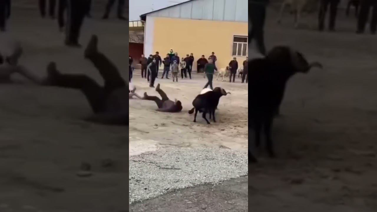 Двойное столкновение ))))))