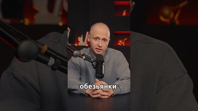 Из исследовательского центра Южной Каролины сбежало 40 обезьян