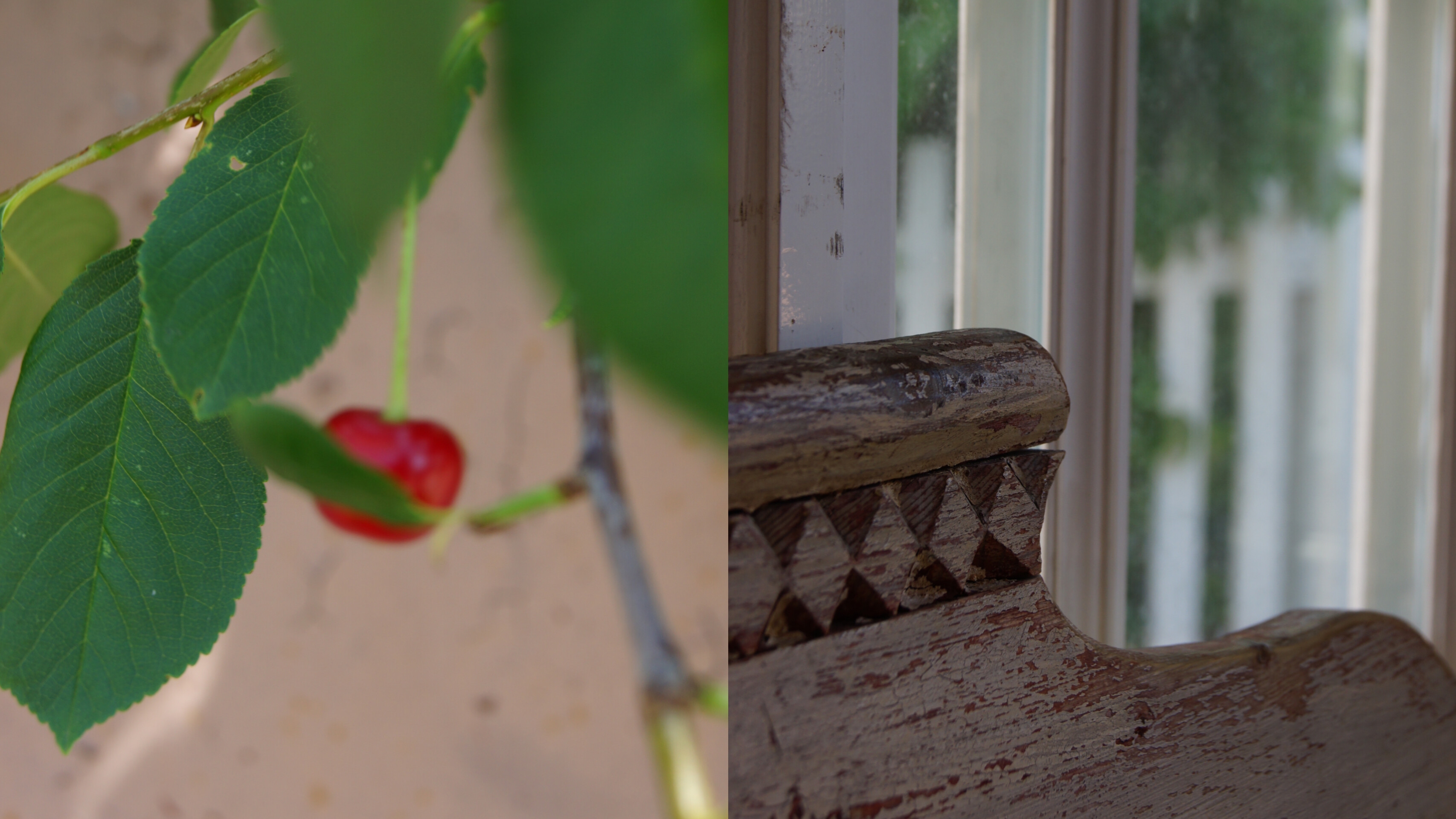 FЛОГ: Портал в детство📍Коломна, 2024