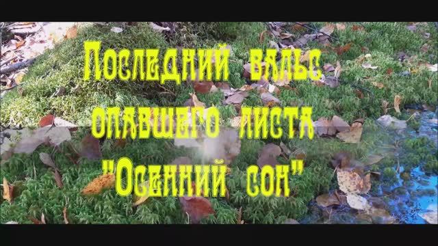 Последний вальс опавшего листа Осенний сон..mp4