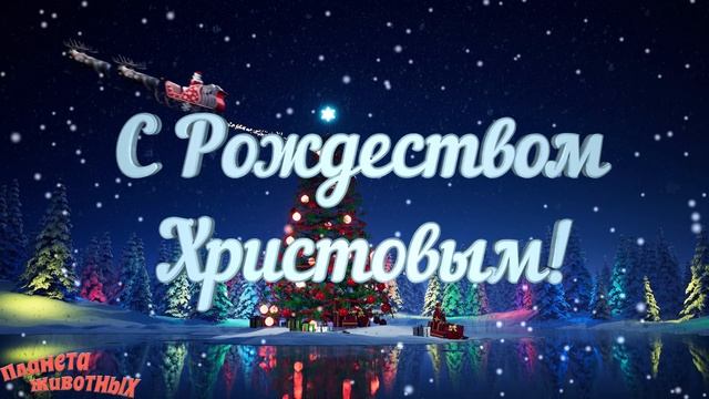 Поздравление С Рождеством Христовым!