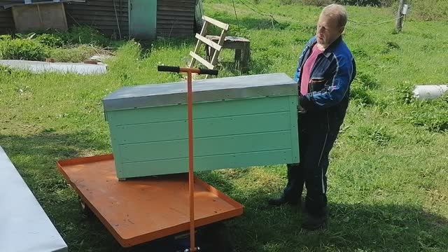 Какой улей проще перевозить на кочёвку одному пчеловоду. Лежак гружу один без помощников.