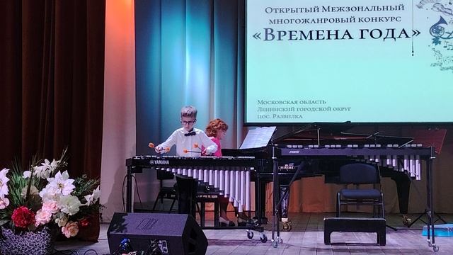 А.Вивальди - Ларго (Борзенков Николай)