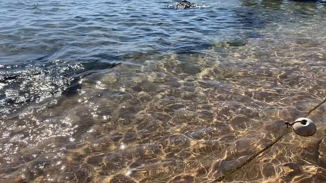 И снова морюшко