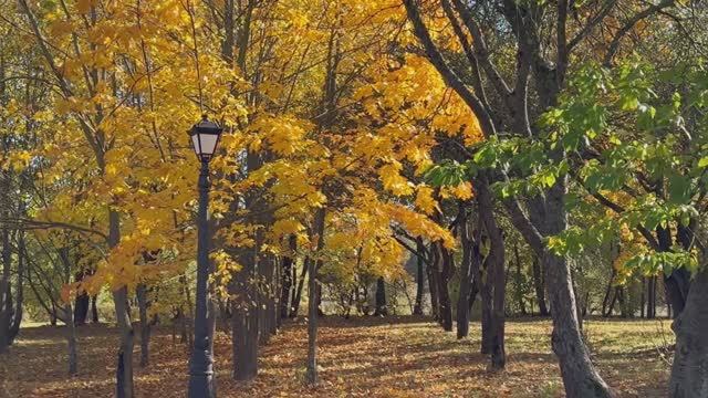МИНСК ПРОСТО ВЕЛИКОЛЕПЕН ,ОЧАРОВАЛ МЕНЯ! Minsk charmed me in autumn!!