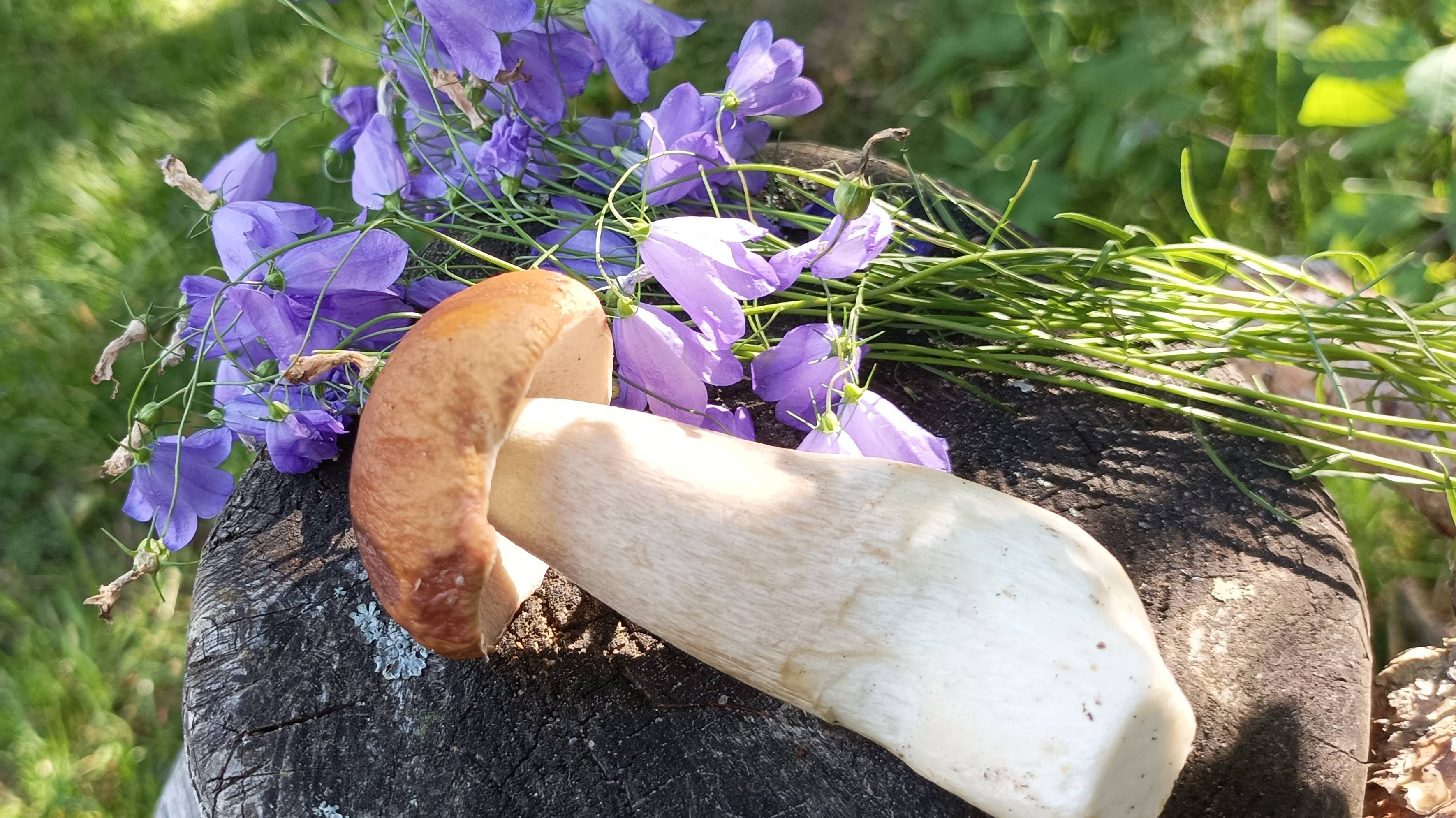 Прогулка на озеро