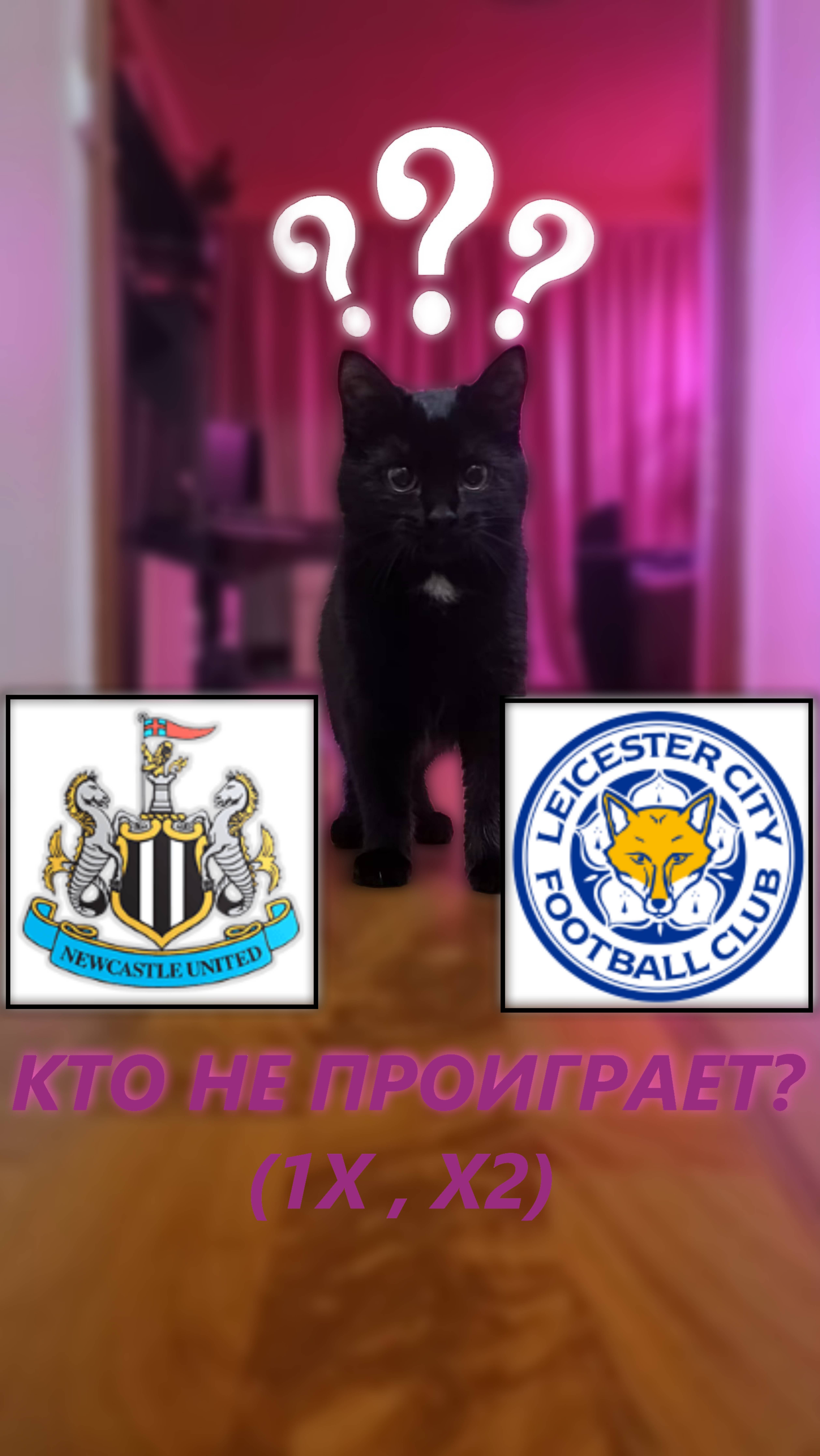 Прогноз на 16 тур Английской Премьер Лиги Ньюкасл - Лестер