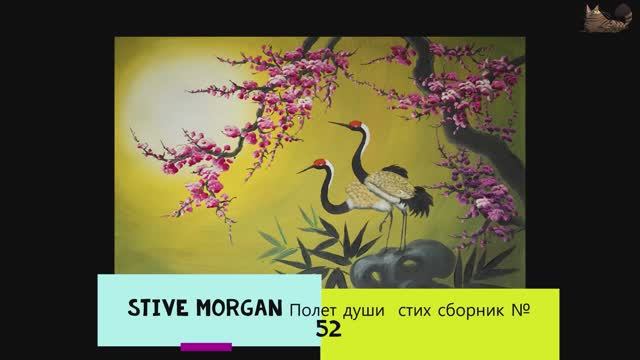 Stive Morgan Полет души