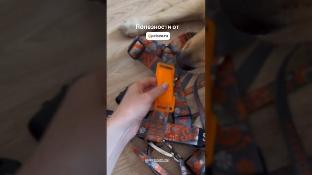 Обзор чехла для GPS-трекера Petsee Dogs
