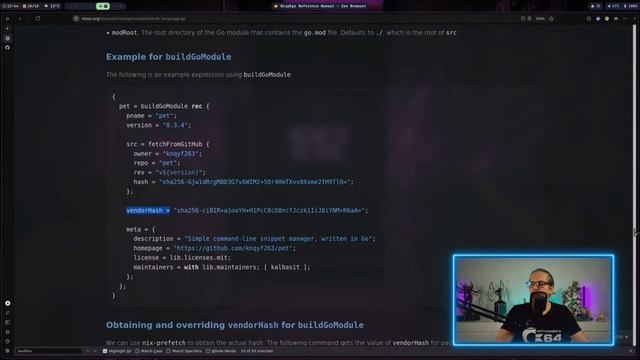 Rebuilding my NixOS config - Part 14: Tips for Building Custom Packages with Go and Rust examples